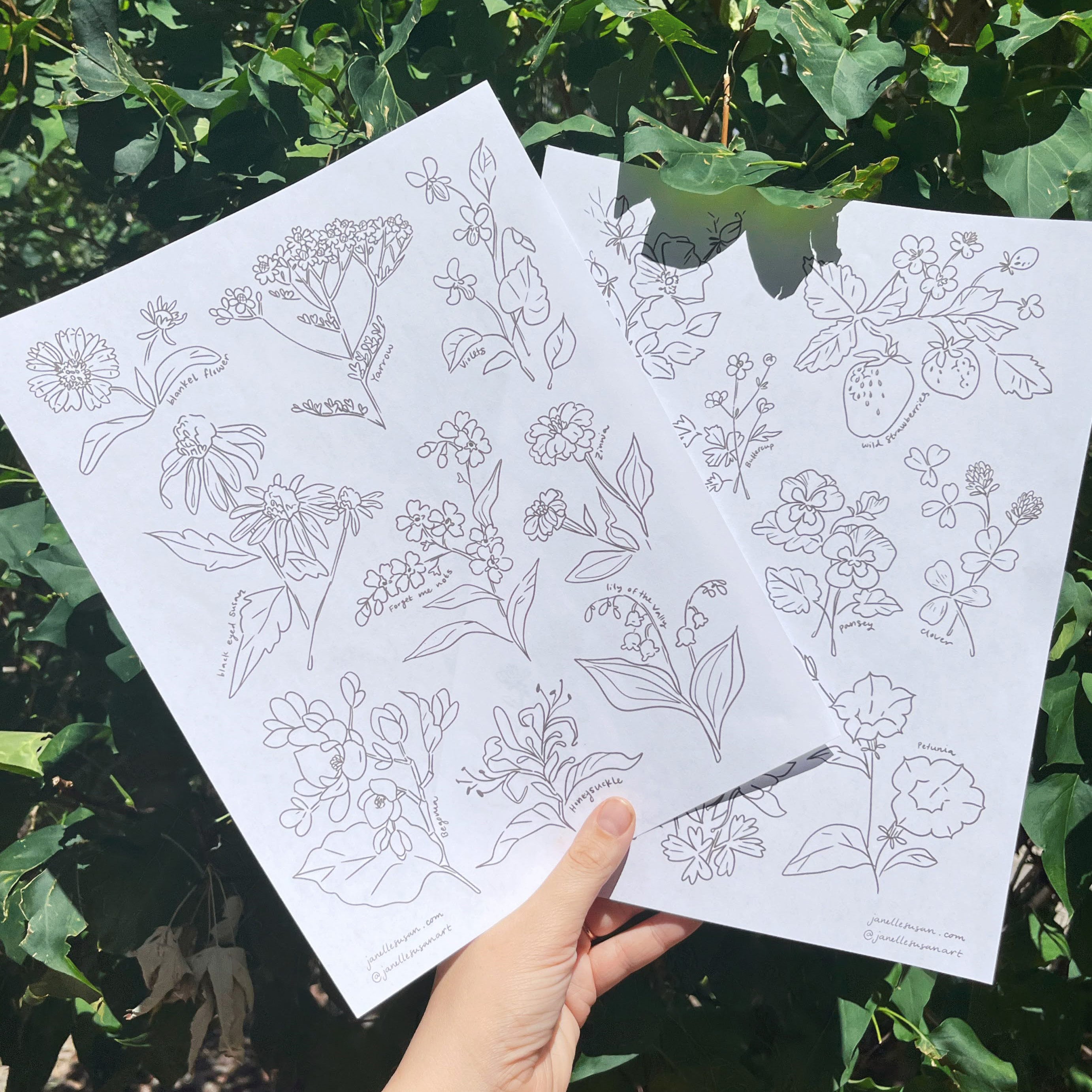 SKETCHBOOK FLORALS COLORING PAGE | DIGITAL DOWNLOAD – Janelle Susan Art