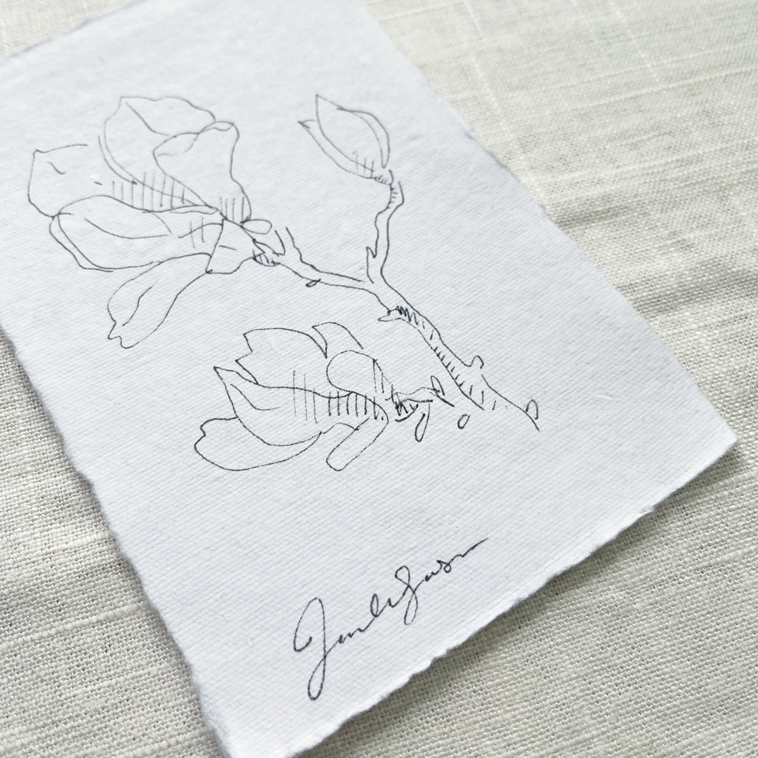 MAGNOLIAS | ORIGINAL SKETCH ON HANDMADE PAPER 4"X6" – Janelle Susan Art