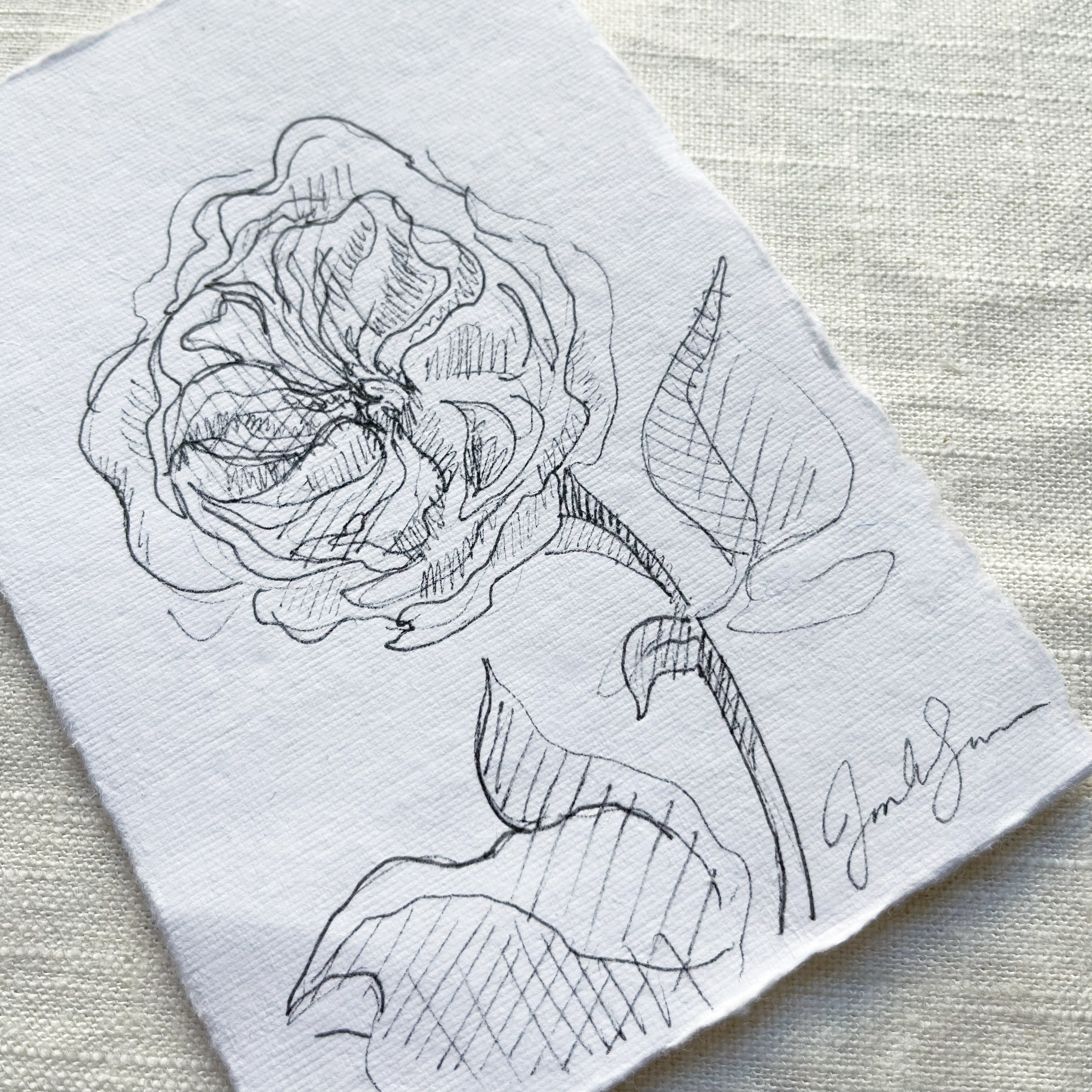 GARDEN ROSE | ORIGINAL SKETCH ON HANDMADE PAPER 4"X6" – Janelle Susan Art
